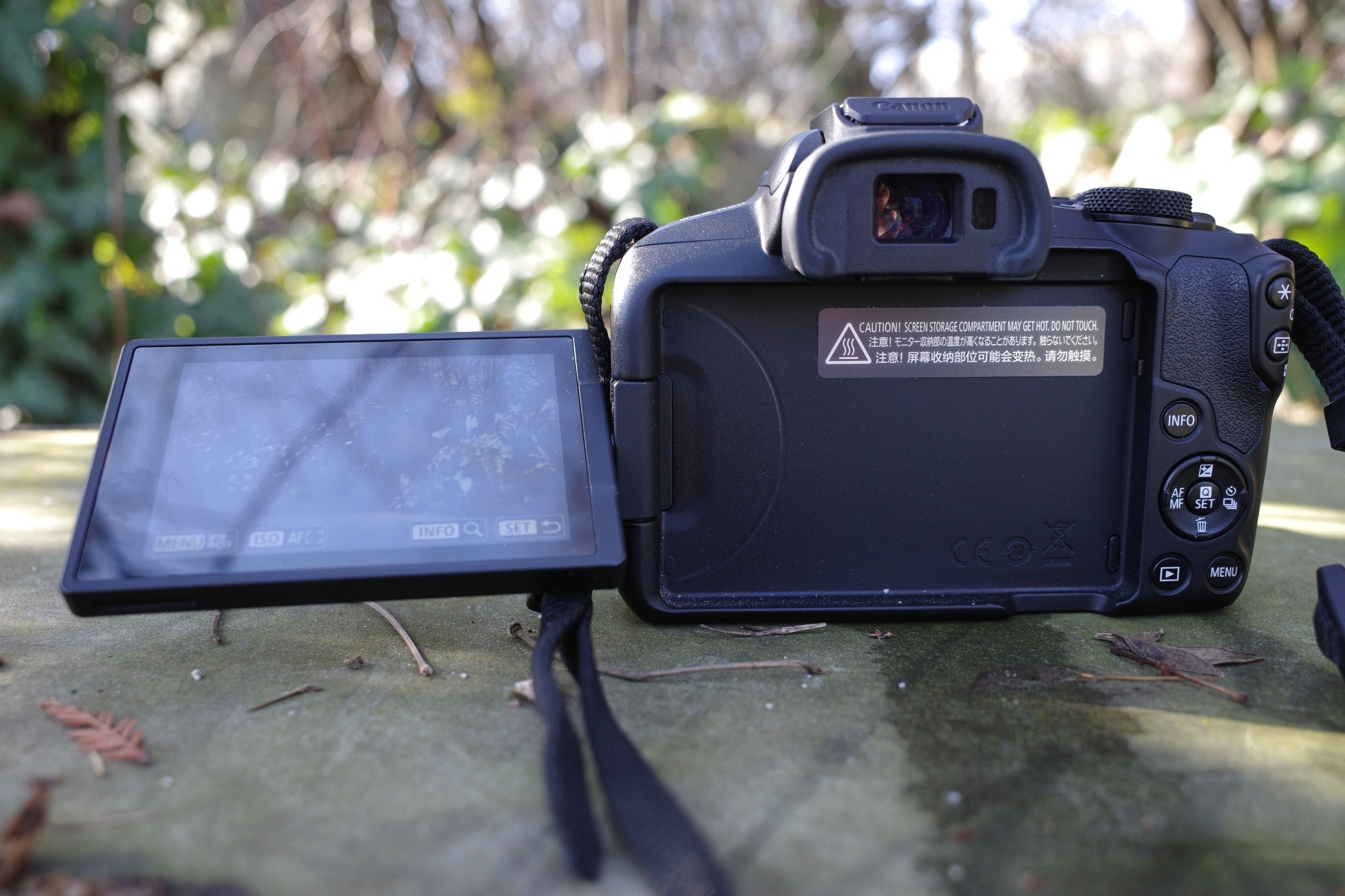 Canon EOS R50. Test - maciektestuje.pl